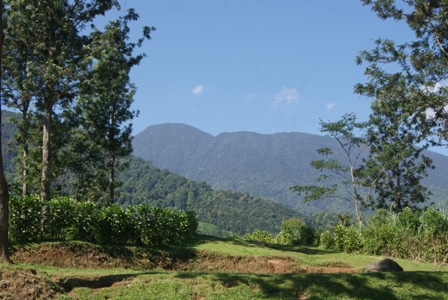 Gunung Mas Puncak - Gunung Mas Puncak